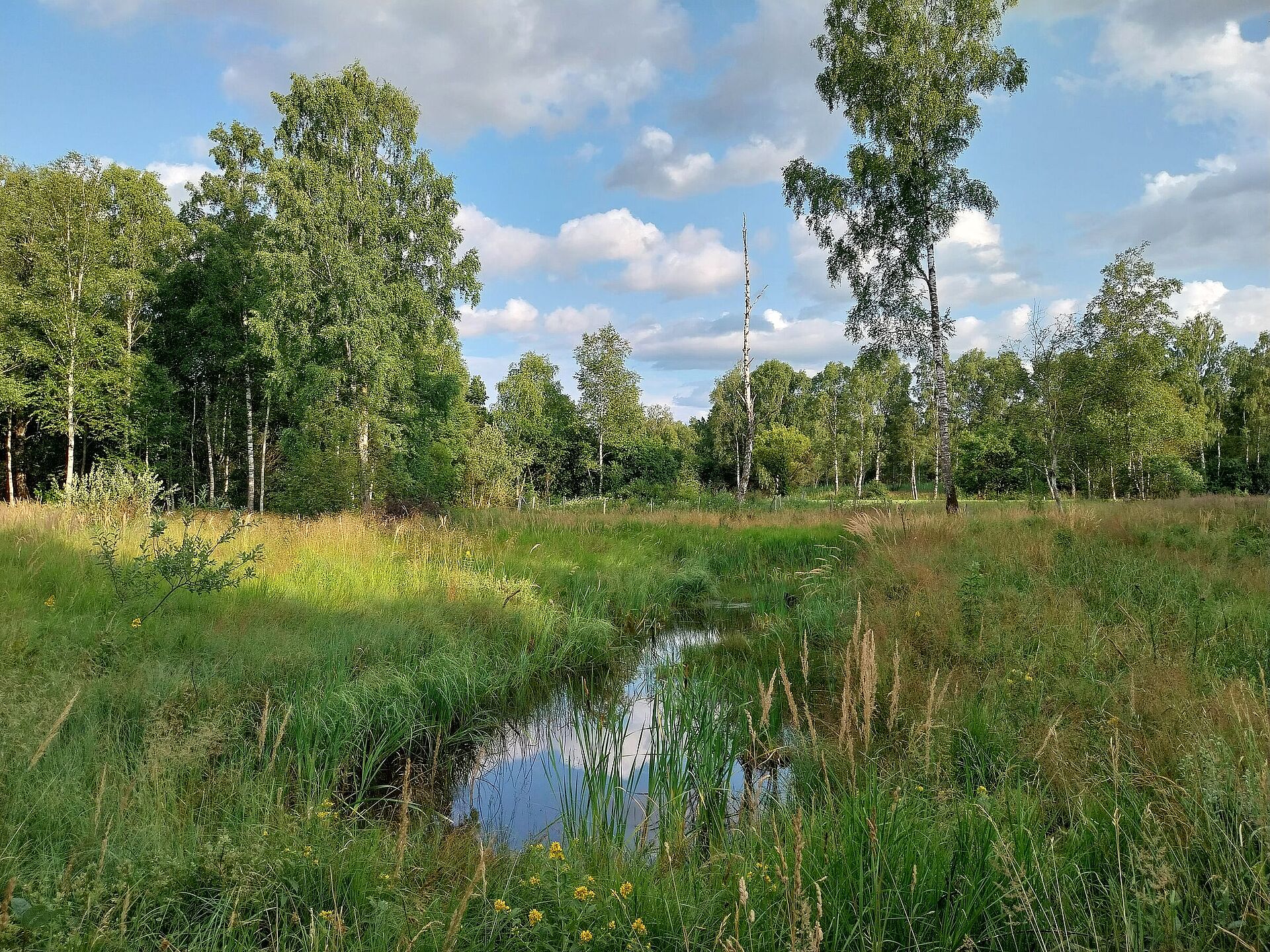 Umweltbildung für Kindergärten und Schulen - BUND Naturschutz in Bayern ...
